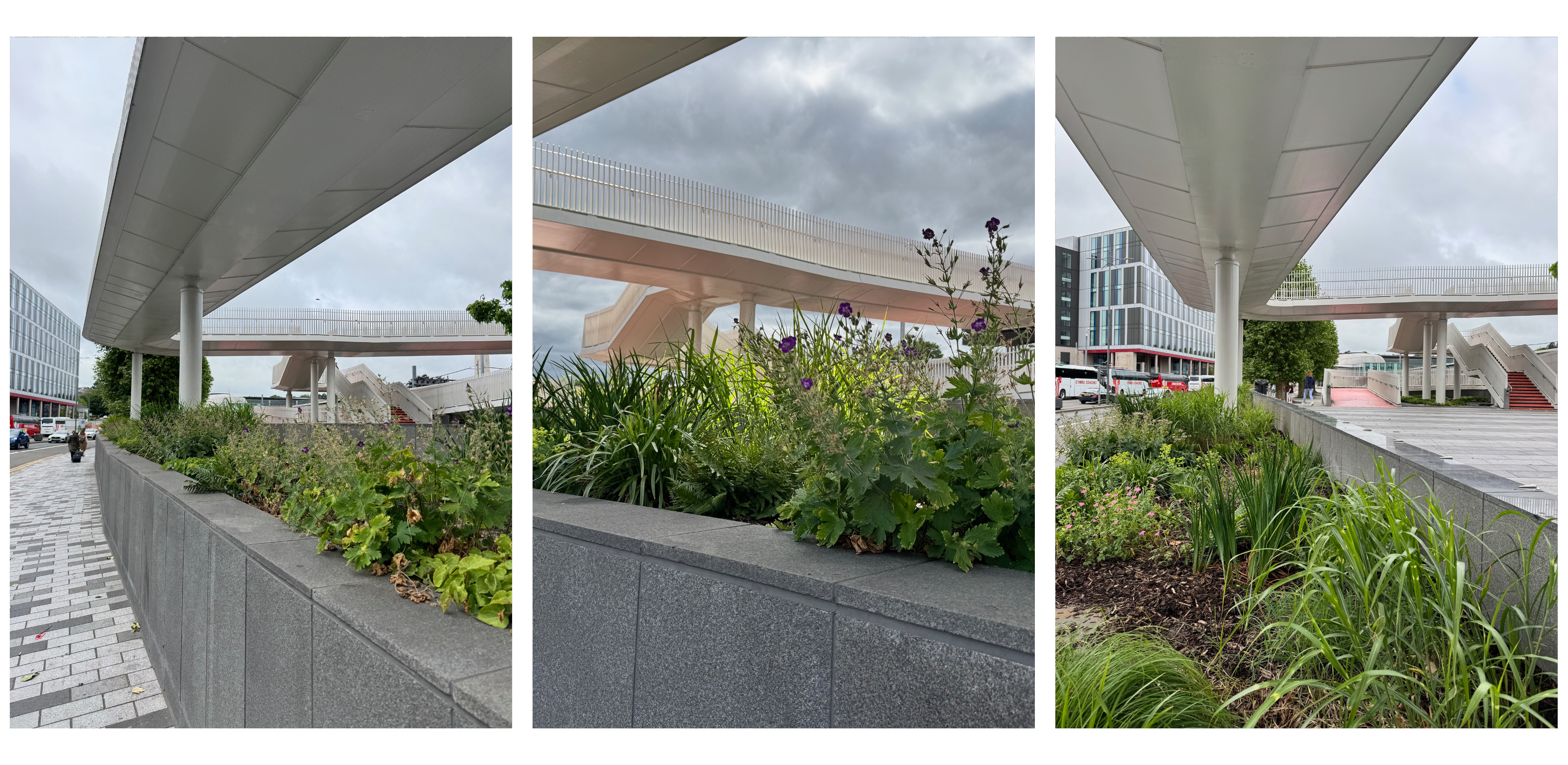 Newport Active Travel Bridge | The Urbanists